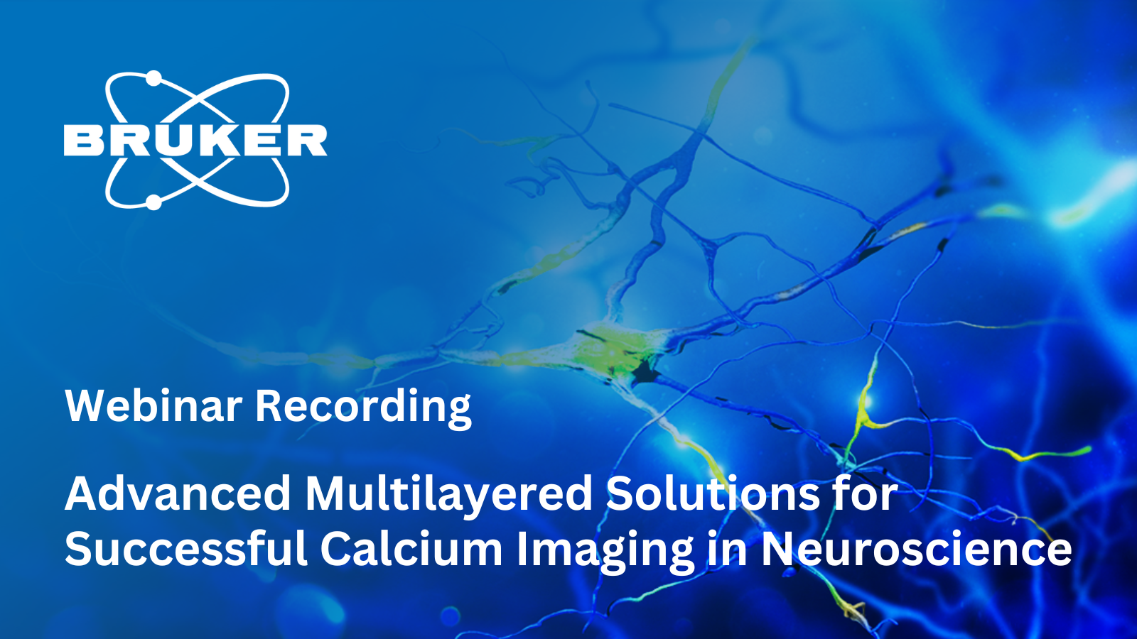 Inscopix-Bruker VIEW Webinar_Advanced Multilayered Solutions for Successful Calcium Imaging in ...